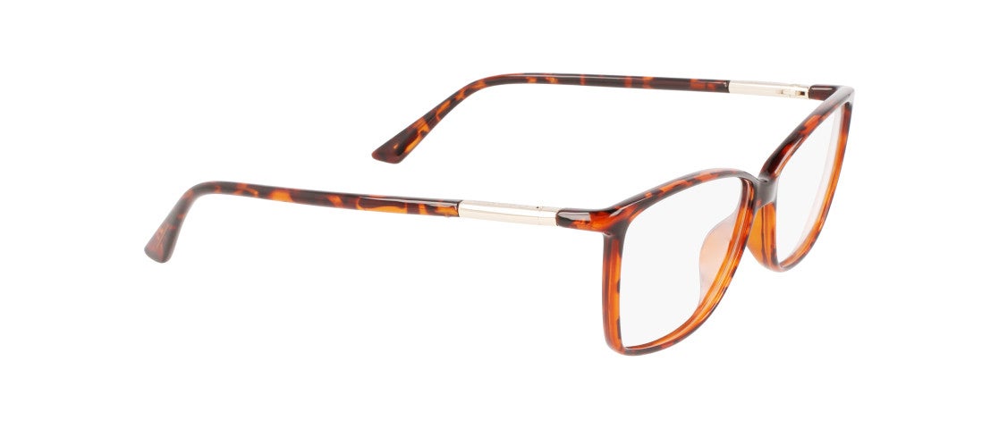 Calvin Klein CK21524 Glasses | Free Shipping and Returns | Eyeconic